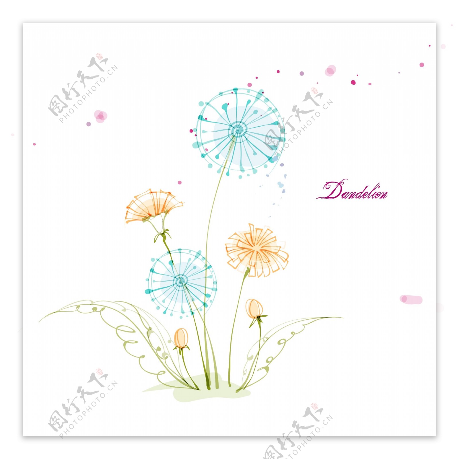蒲公英花卉设计矢量图图片素材-编号02430495-图行天下