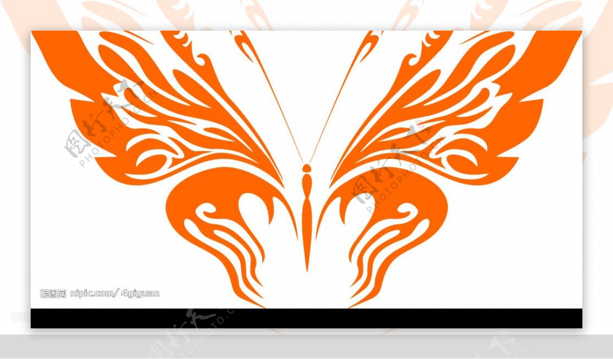 蝴蝶Butterfiles001图片素材-编号10033105-图行天下