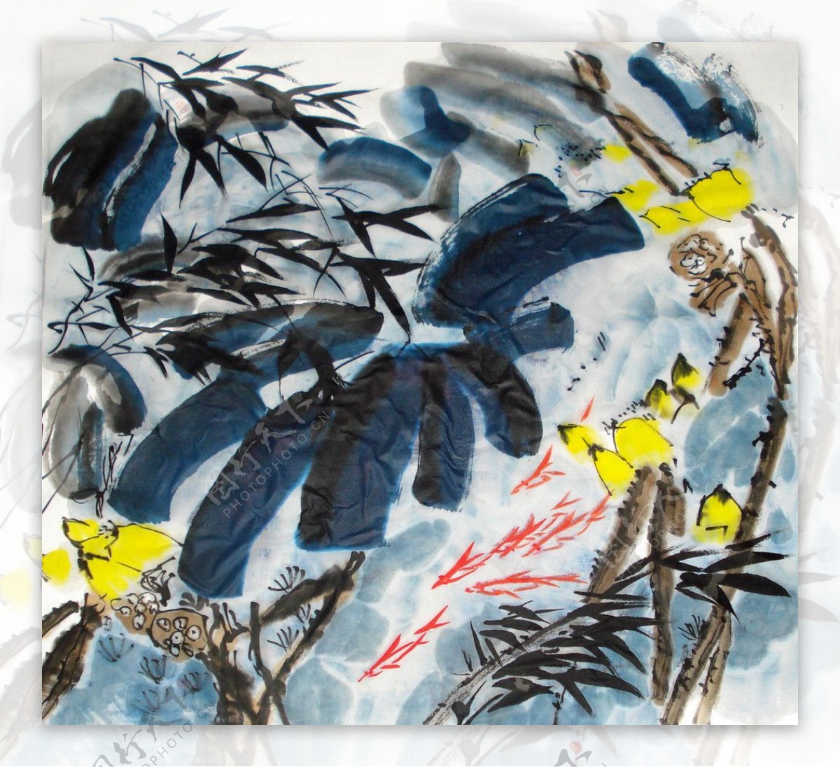 荷花鱼图片素材-编号11611655-图行天下