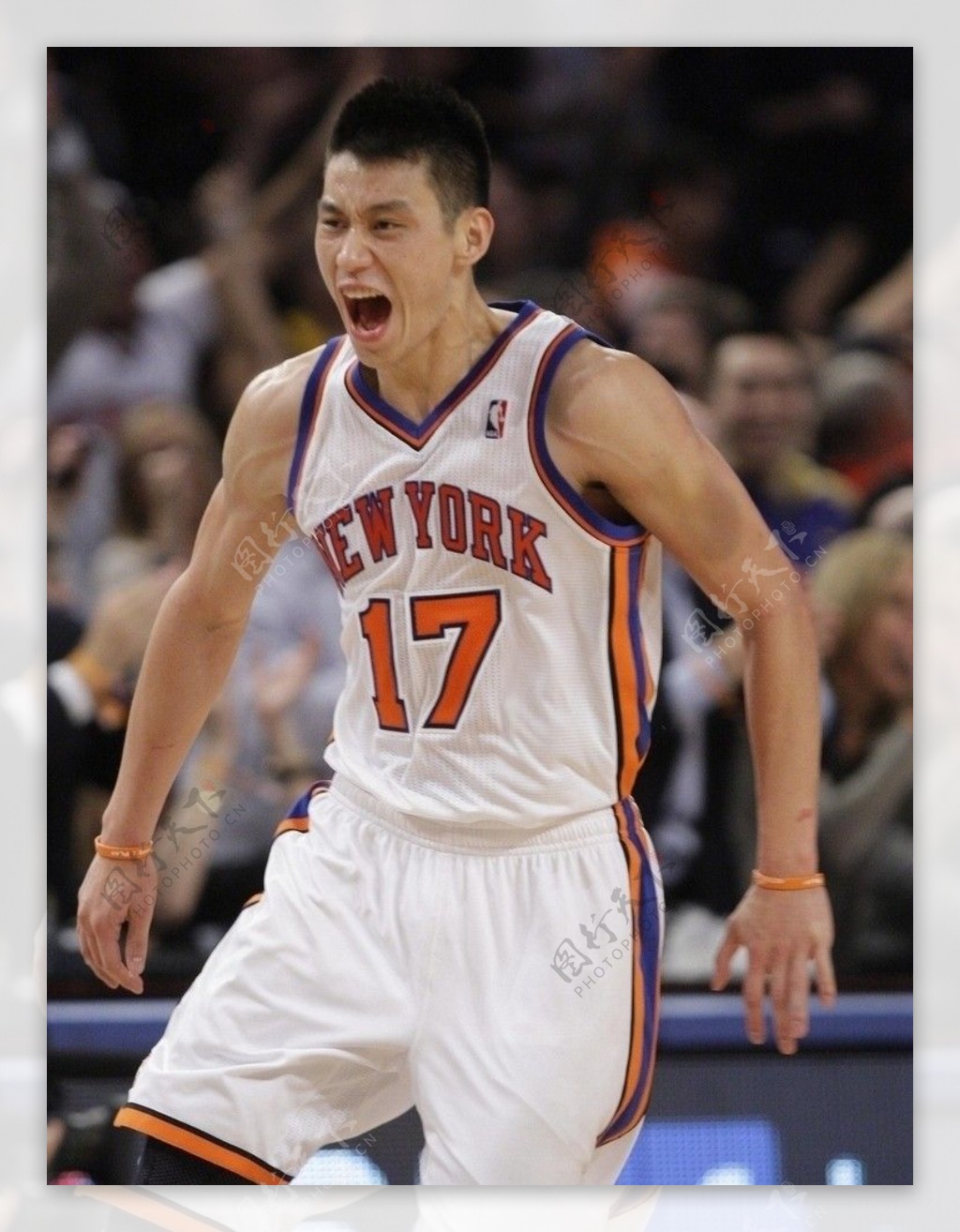 林书豪图片素材-编号12394405-图行天下