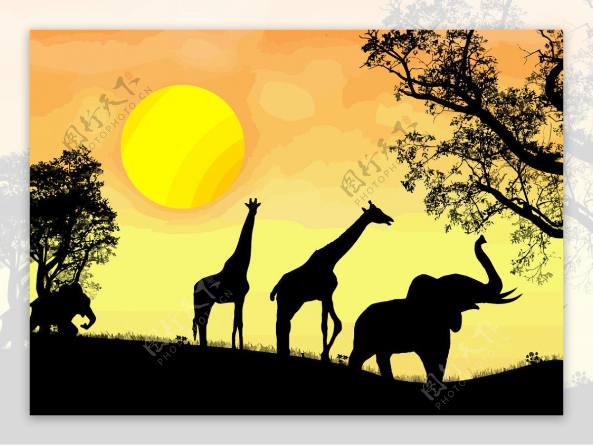 非洲大草原图片素材-编号12716475-图行天下