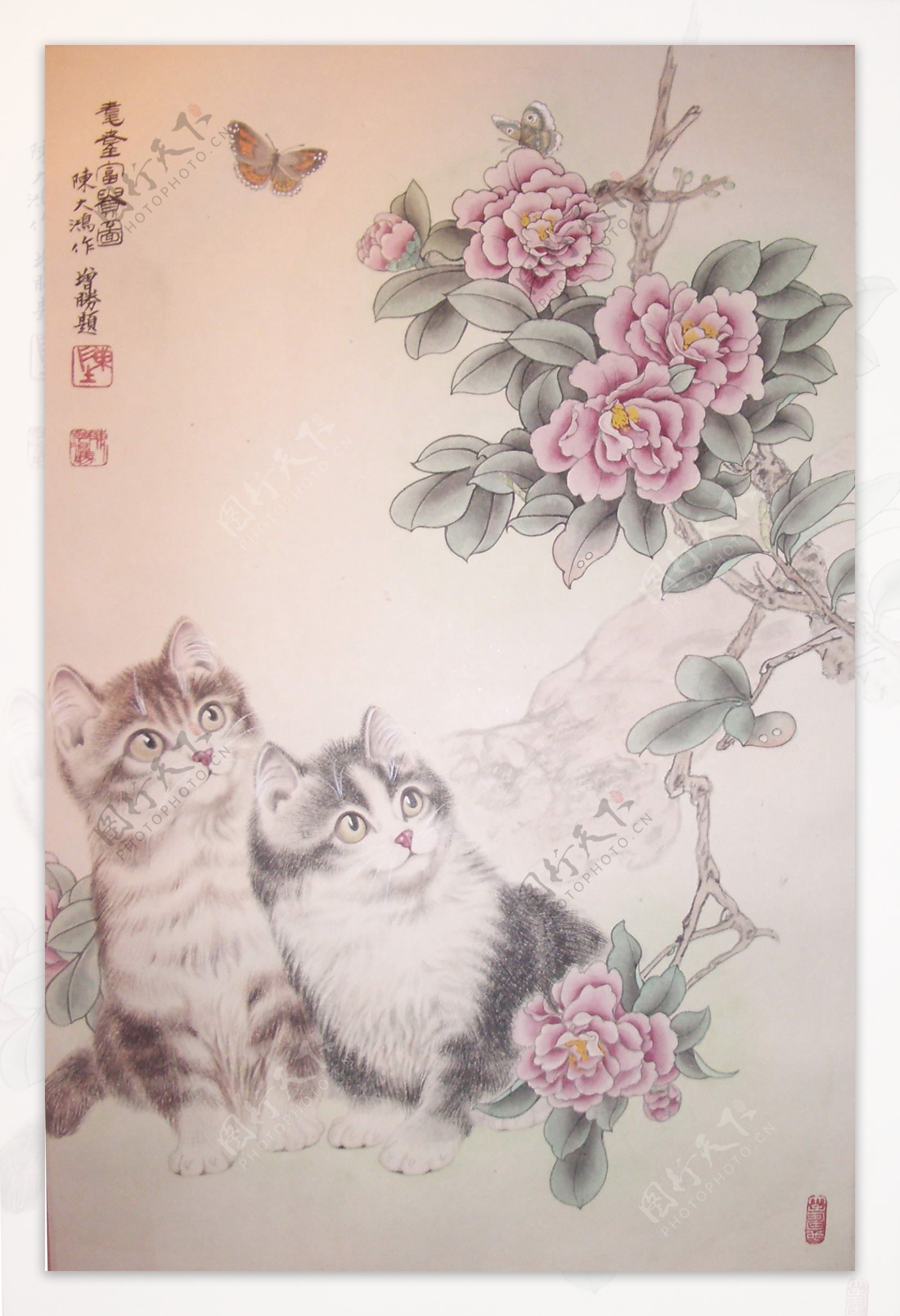 国画牡丹猫图片素材-编号12769495-图行天下