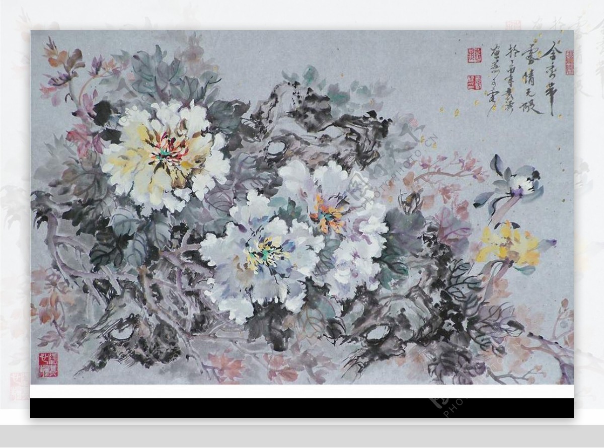 牡丹画图片素材-编号12930095-图行天下