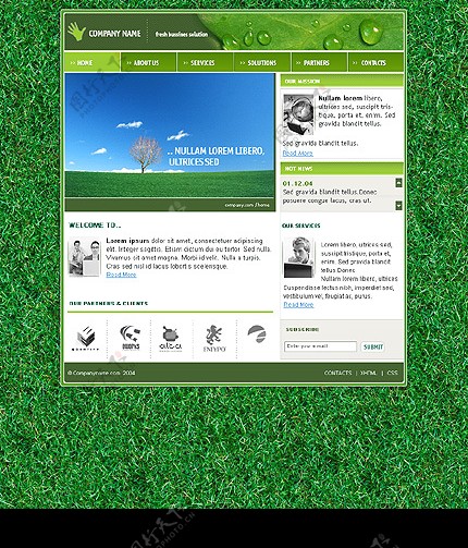 TemplateMonster系列8046图片素材-编号15903535-图行天下