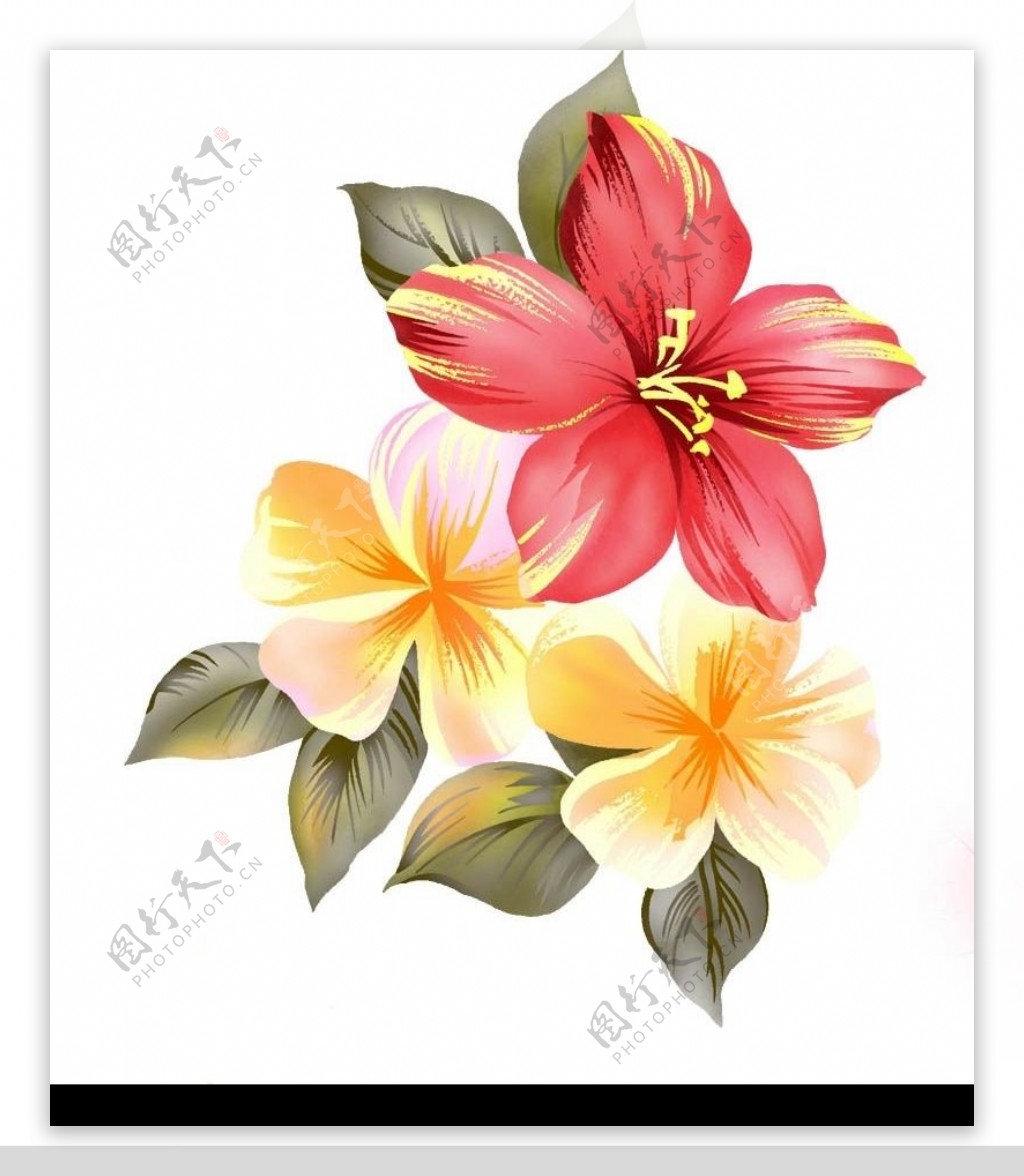 手绘时尚花卉花纹图片素材-编号19283775-图行天下