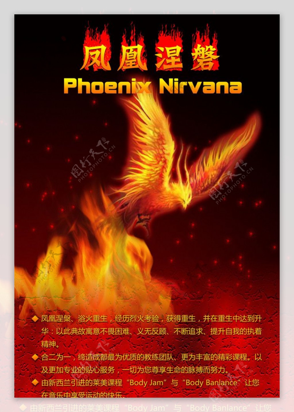 凤凰涅槃海报图片素材-编号19425745-图行天下