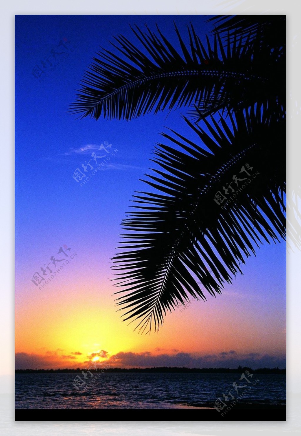 沙滩大海0129图片素材-编号20008185-图行天下