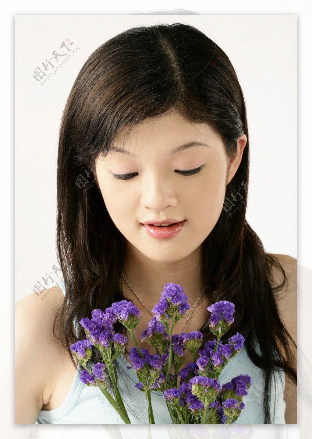 女人花0050图片素材-编号20228025-图行天下