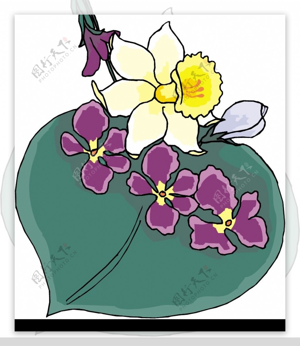 鲜花0721图片素材-编号20536515-图行天下