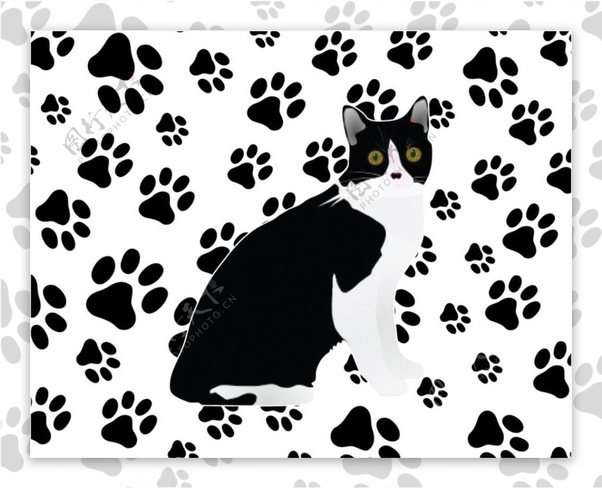 卡通小猫图片素材-编号23388705-图行天下