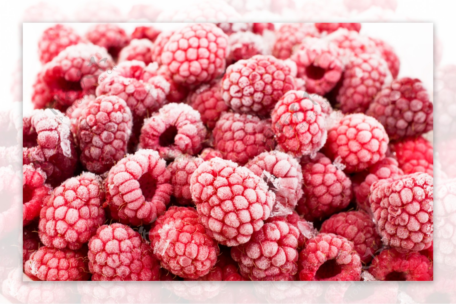 新鲜树莓背景图片素材-编号24596725-图行天下