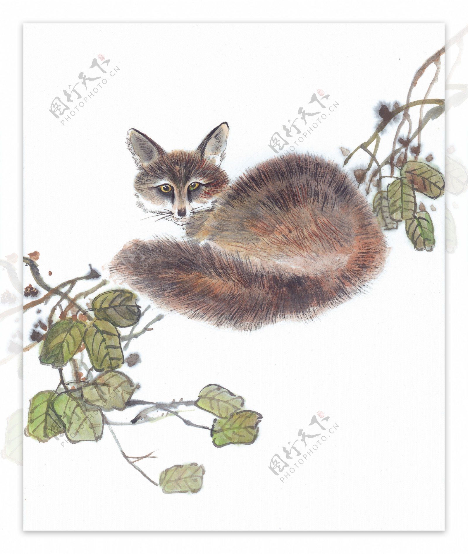 国画猫图片素材-编号26426945-图行天下