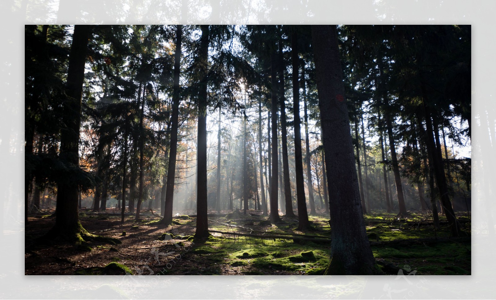 4k超高清图片素材-编号27539975-图行天下