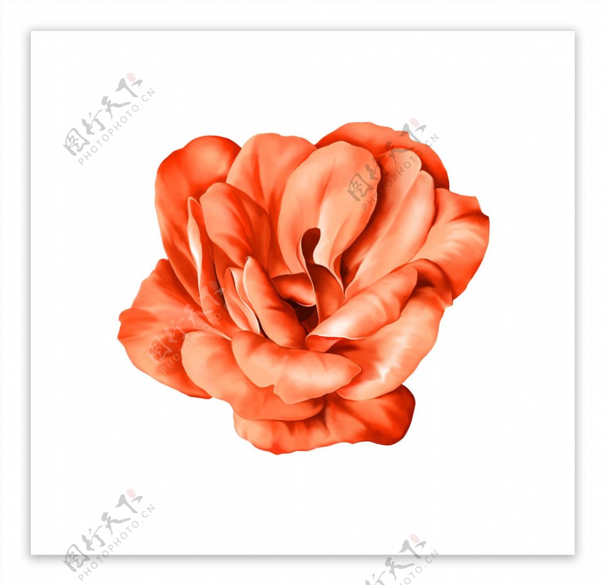 矢量花朵图片素材-编号30640995-图行天下