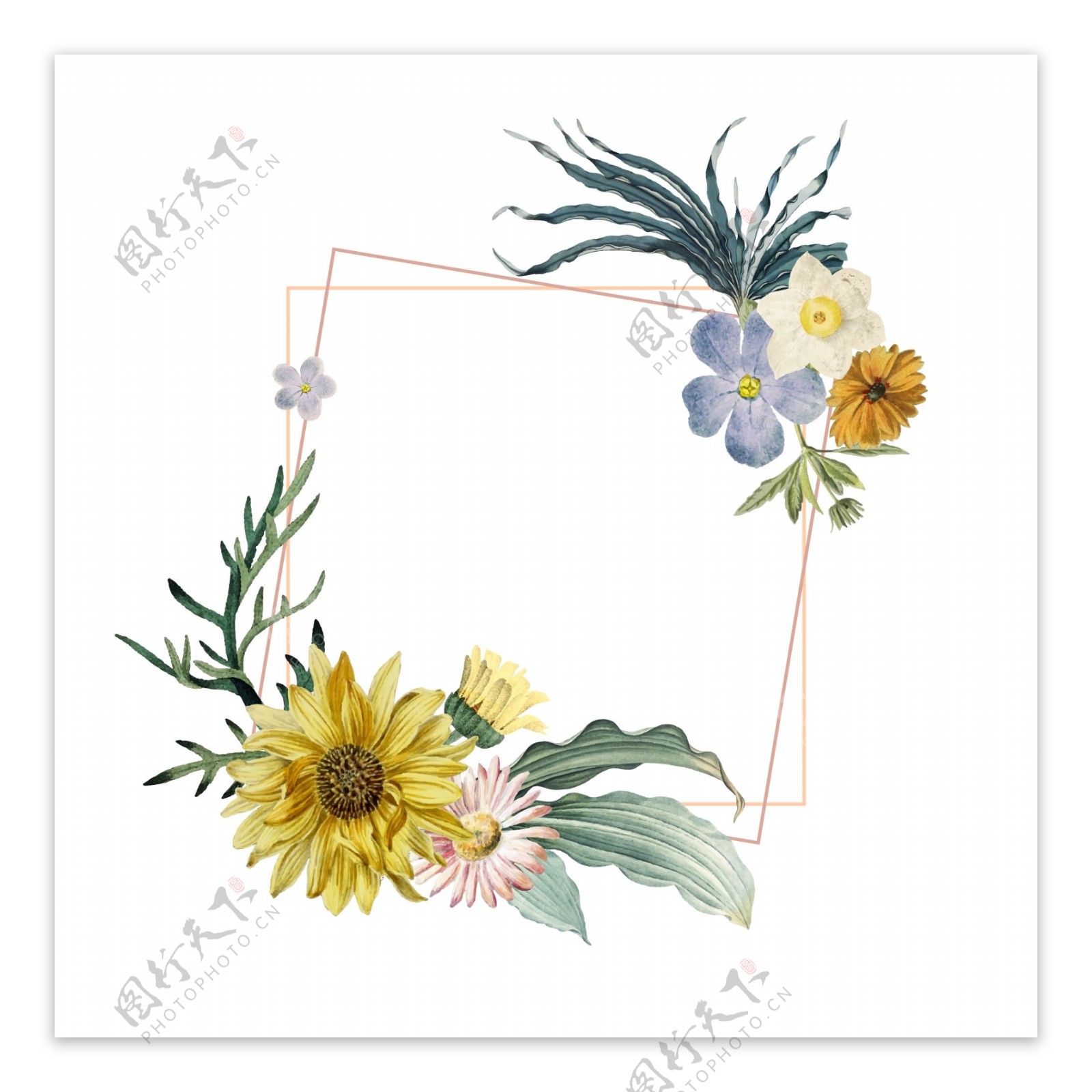 花边框图片素材-编号33203445-图行天下